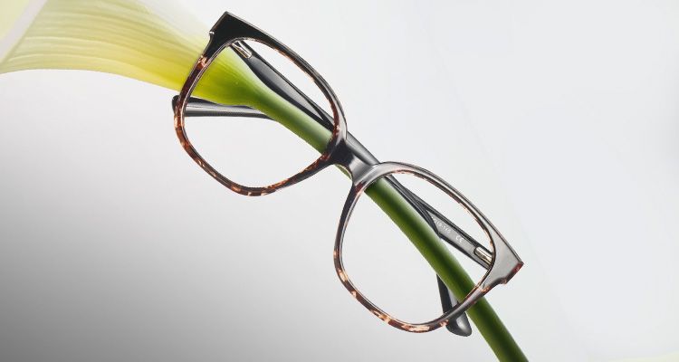 Daily Essential Glasses – Affordable & Versatile Eyeglasses